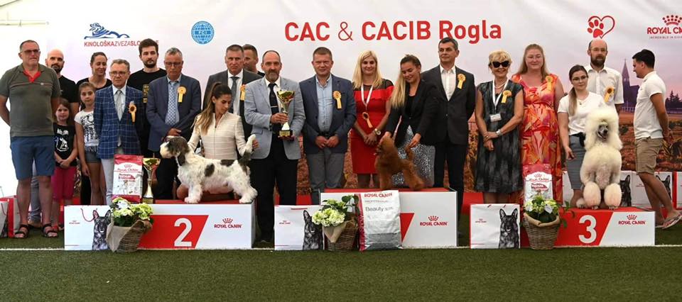 CAC & 2x CACIB Rogla 2023 - Turistično informacijski center Zreče